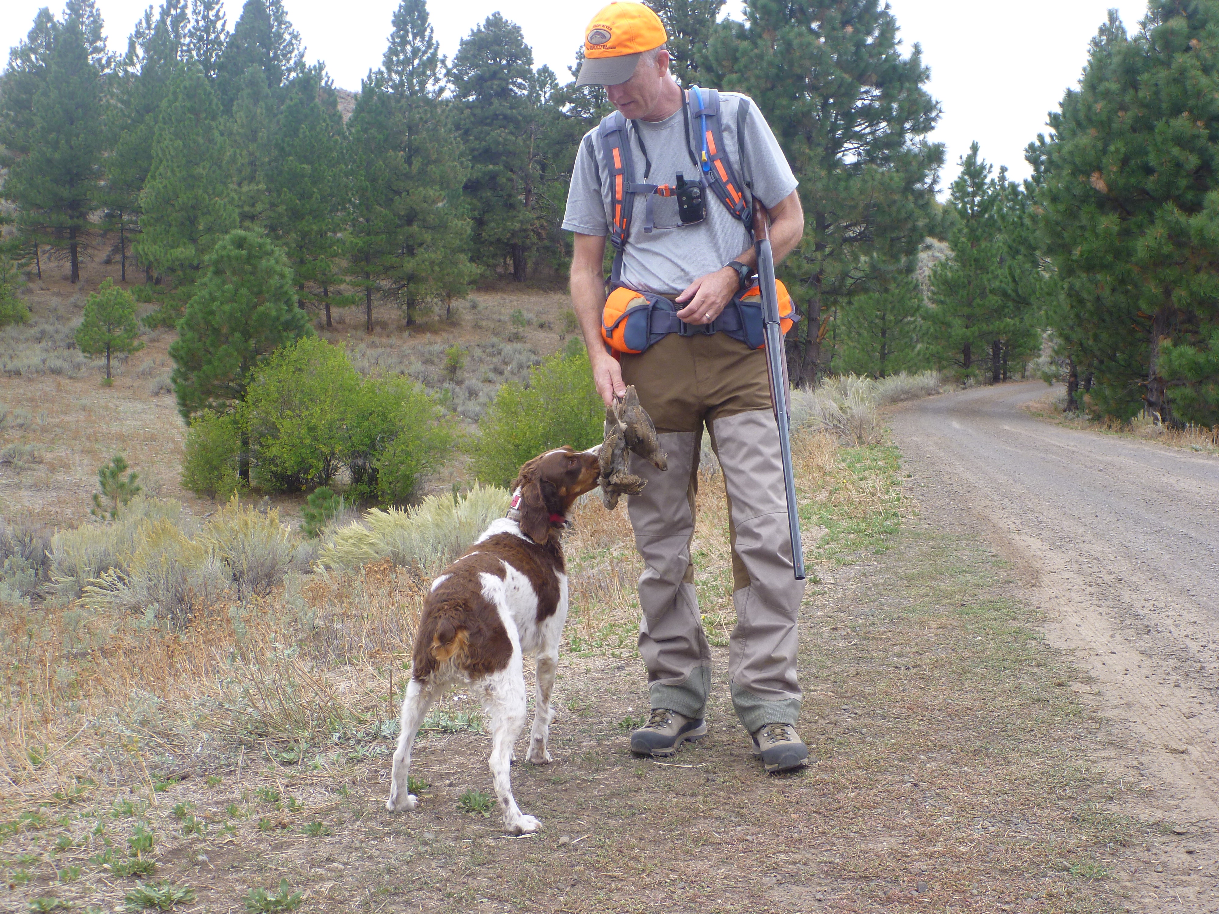 Chukar Culture: Hungarian Partridge Angus
