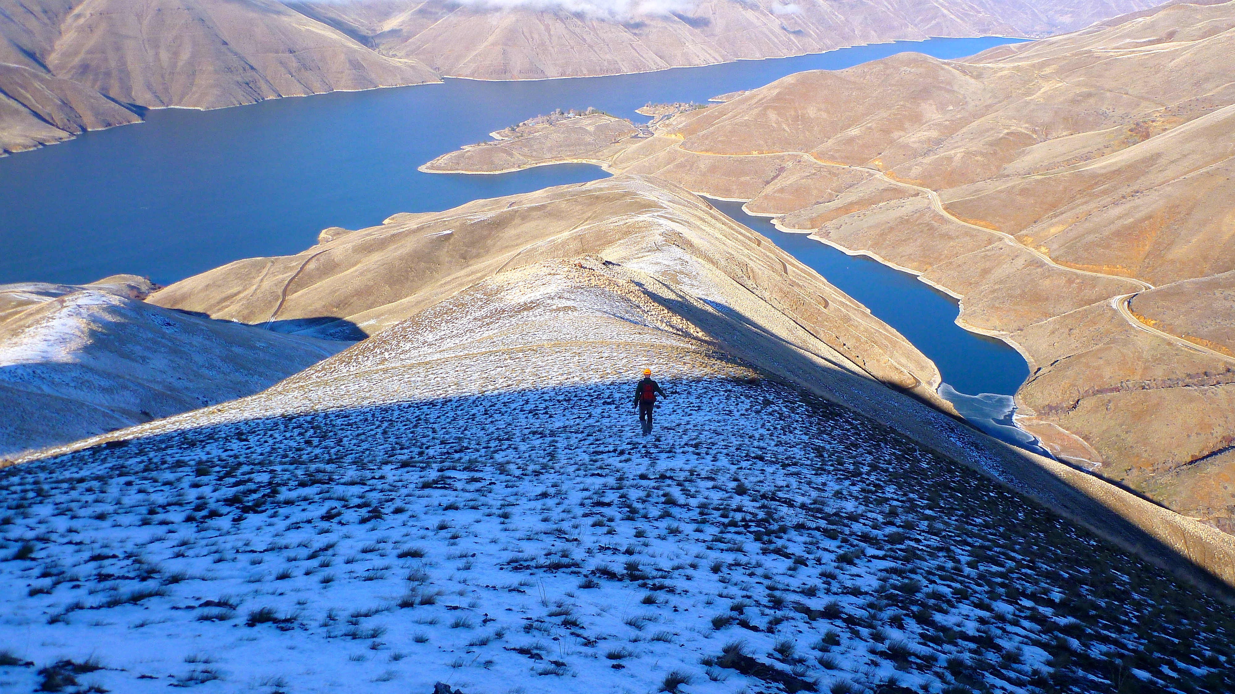 Chukar Culture: Precipitous Christmas Partridge