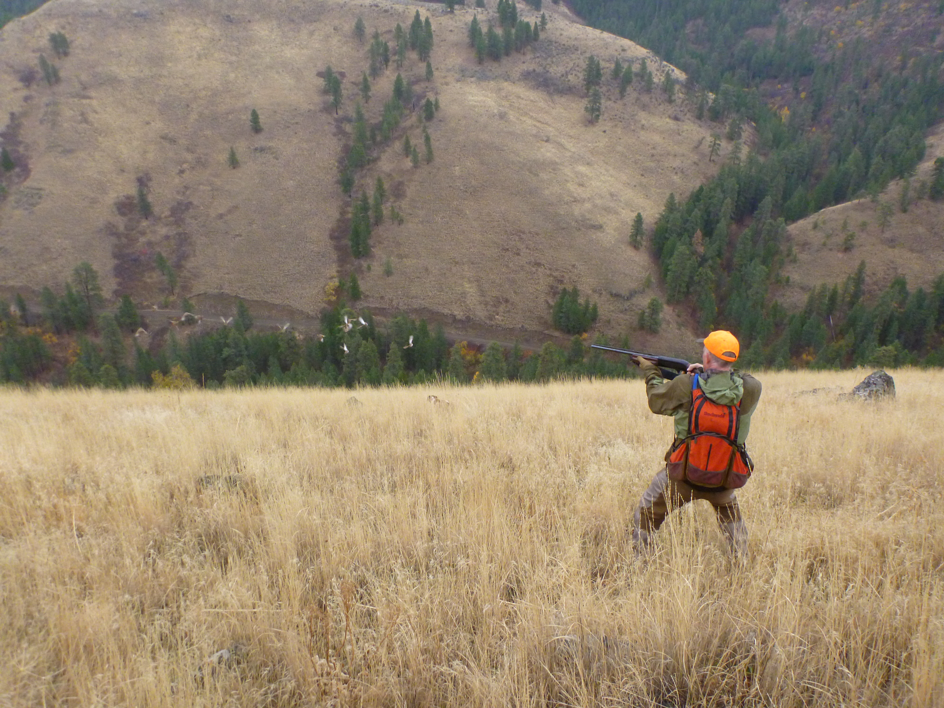Chukar Culture: Chukarubbish